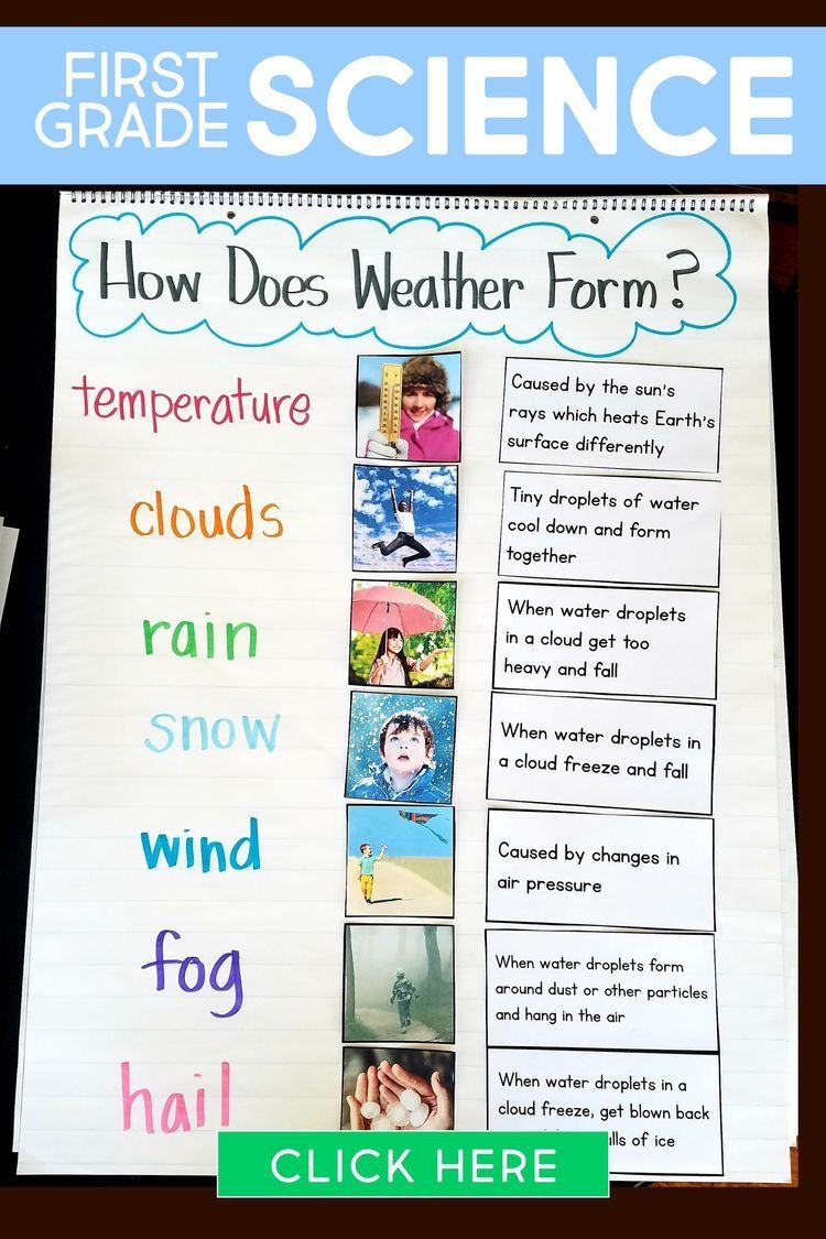 1st Grade Science Lesson Plans 5 Best First Grade Lesson Plan Examples