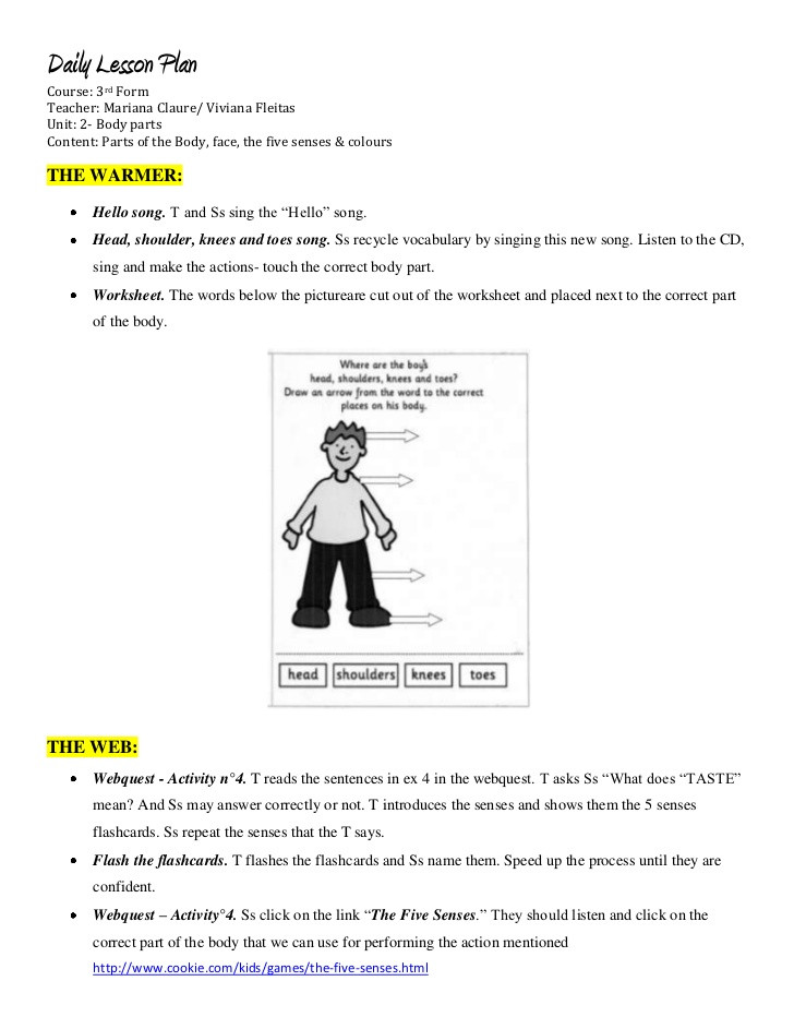Parts Of Lesson Plan Daisy Blake
