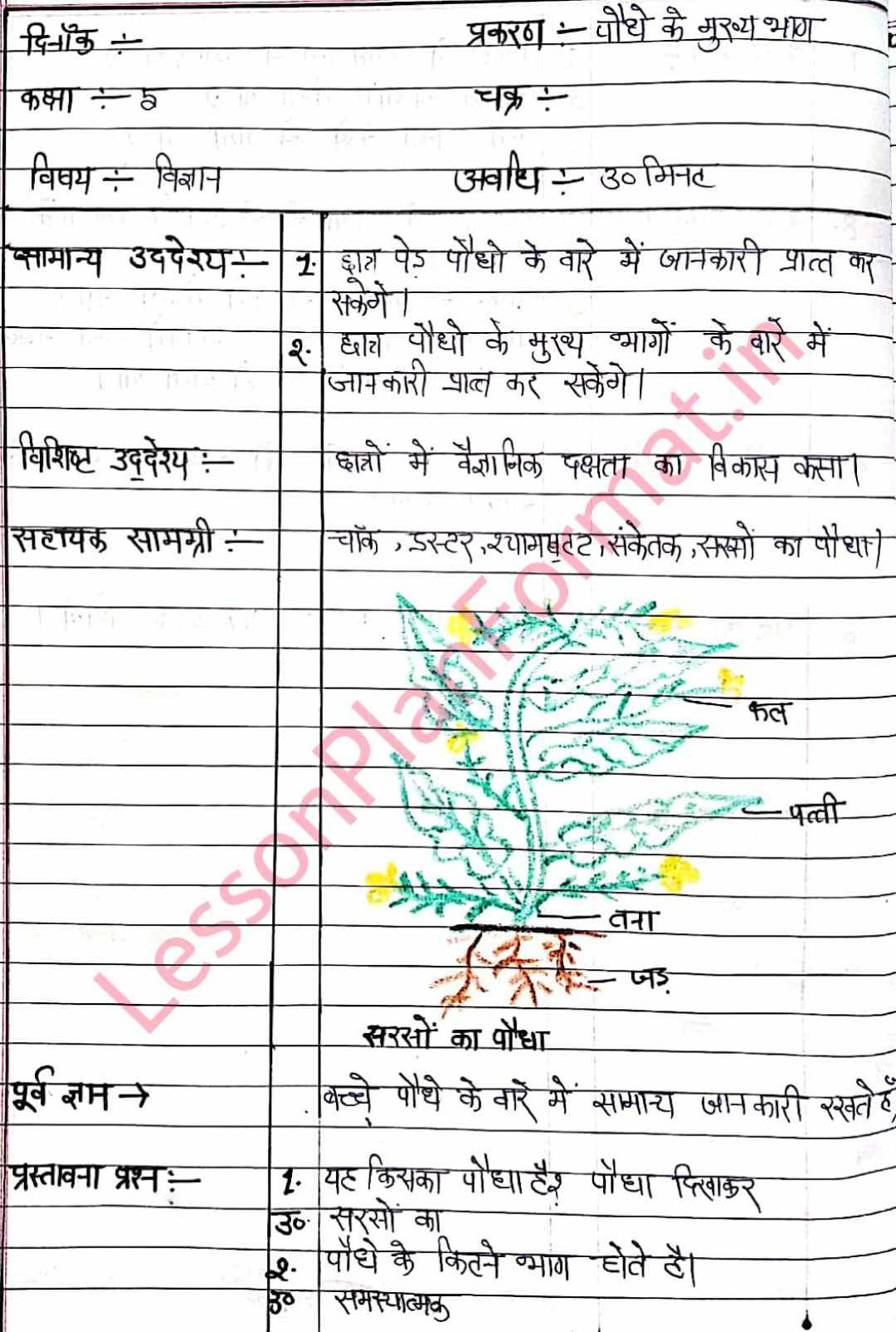 Parts Of Lesson Plan Daisy Blake
