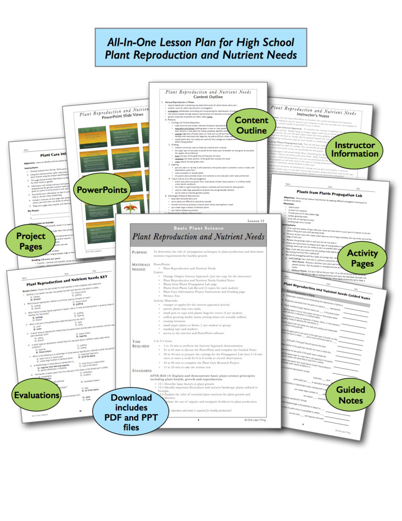 Plants Lesson Plan Daisy Blake Plants Lesson Plan Daisy Blake